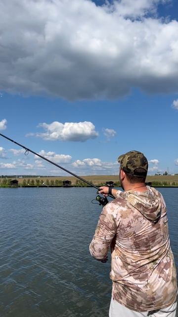 Рыбалка #заброс #рыбалка #карп