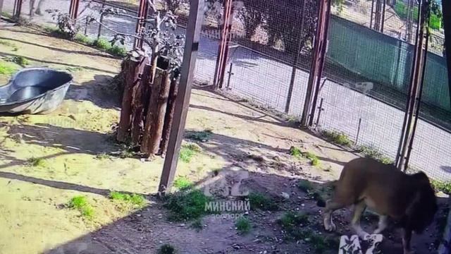 Шархан Под музуку Вивальди 06.09.2025 оркестр Поля Мориа