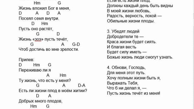 Человек жизни