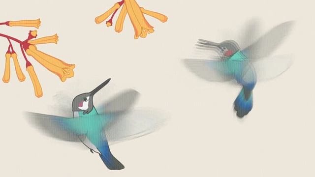 Сериал Невероятные факты эволюции — 7 серия / Zannen na Ikimono