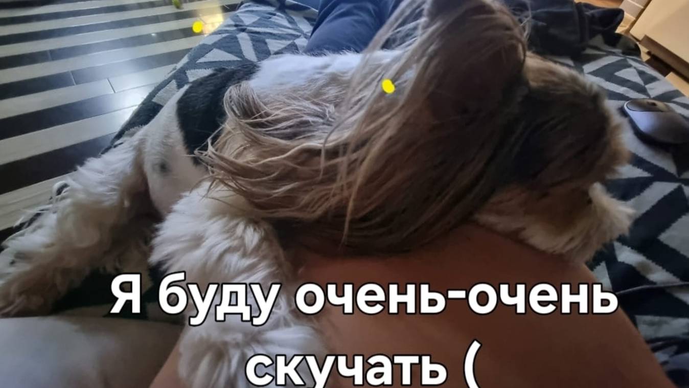 День до отпуска