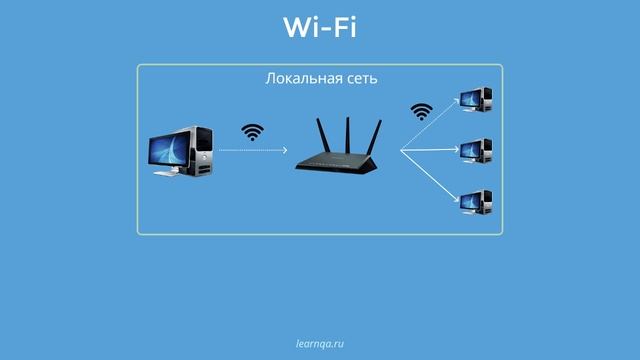 11-networks_phys
