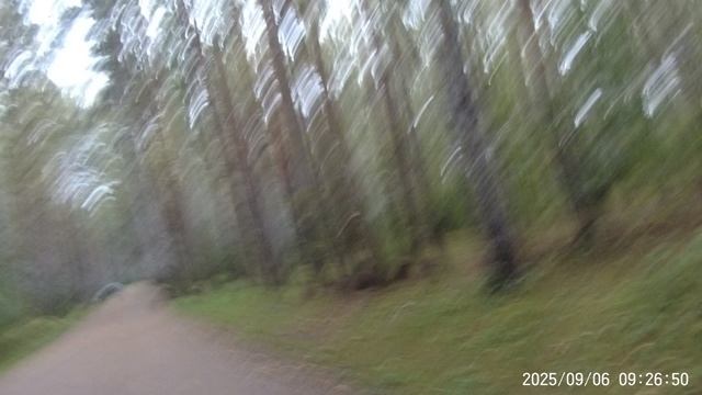 5 верст Экопарк 6 сентября 2025 #176