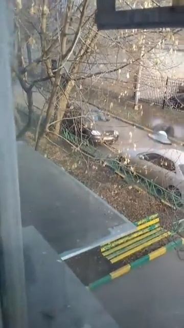 Голубь в кормушке