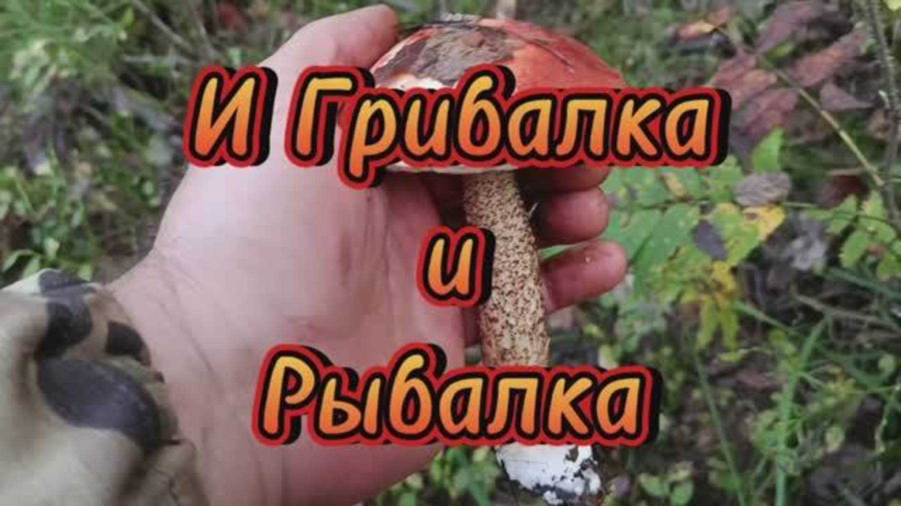 И грибалка и рыбалка
