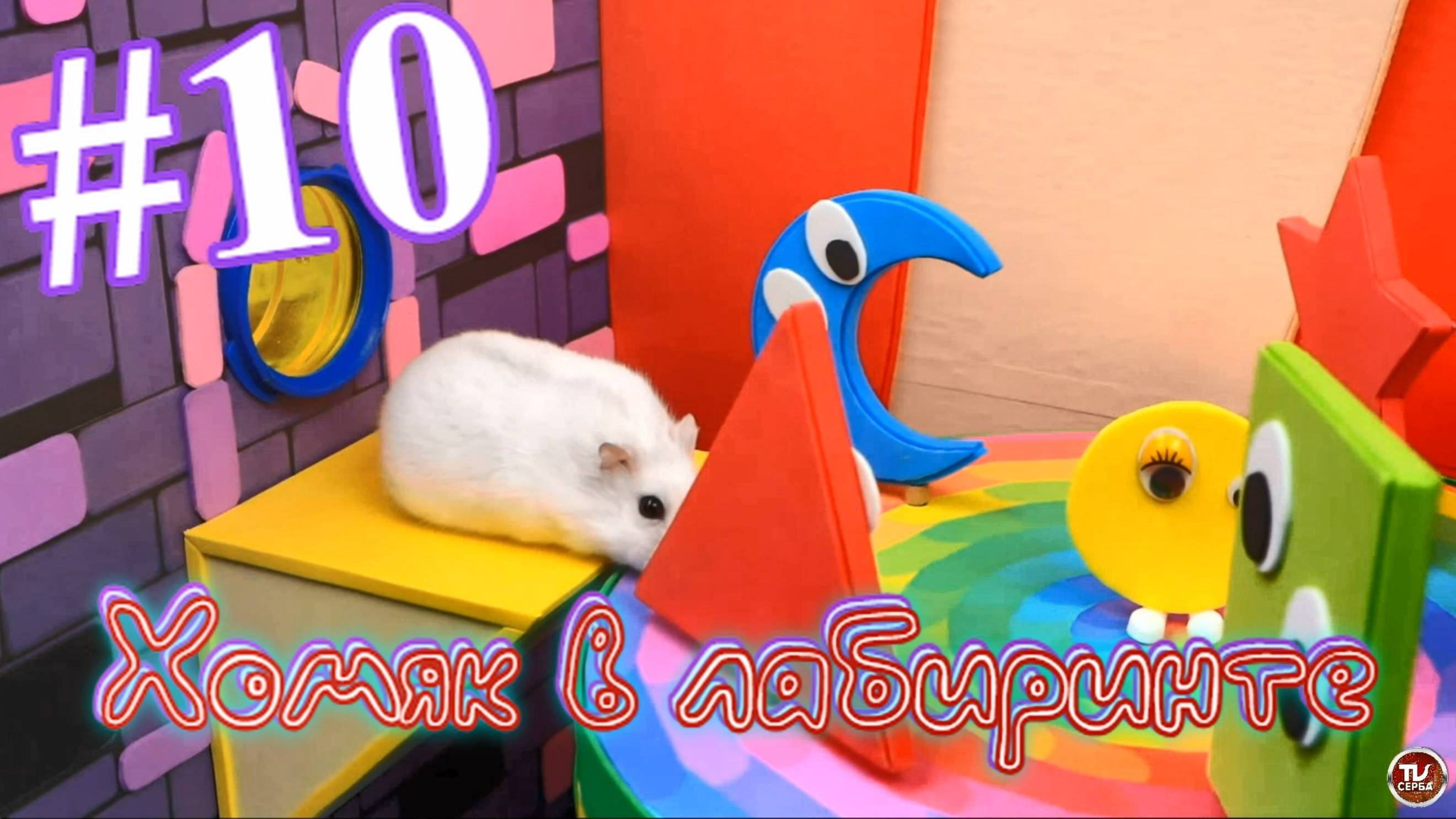 Хомяк в лабиринте (10 серия)