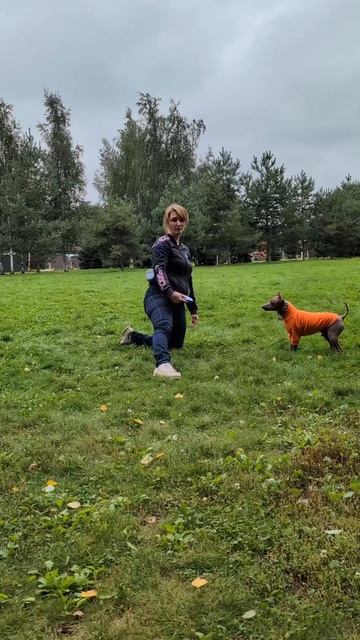 АГТ Толик - перешли к выбросу диска в барьере