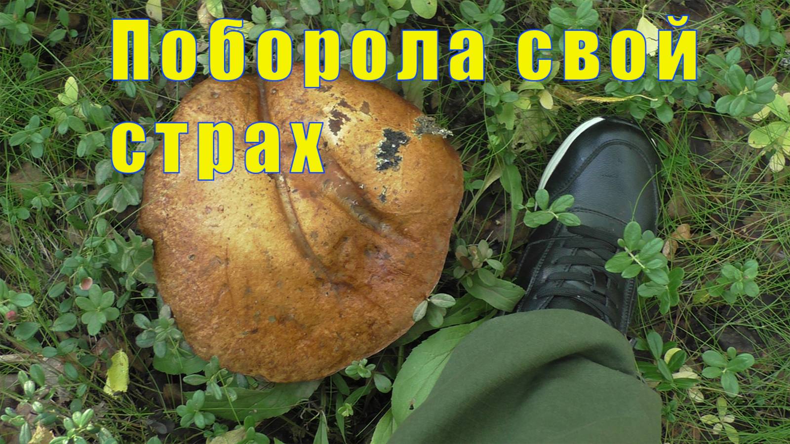 ПОБОРОЛА СВОЙ СТРАХ/ СОН НА ЯВУ/  02 сентября 2025