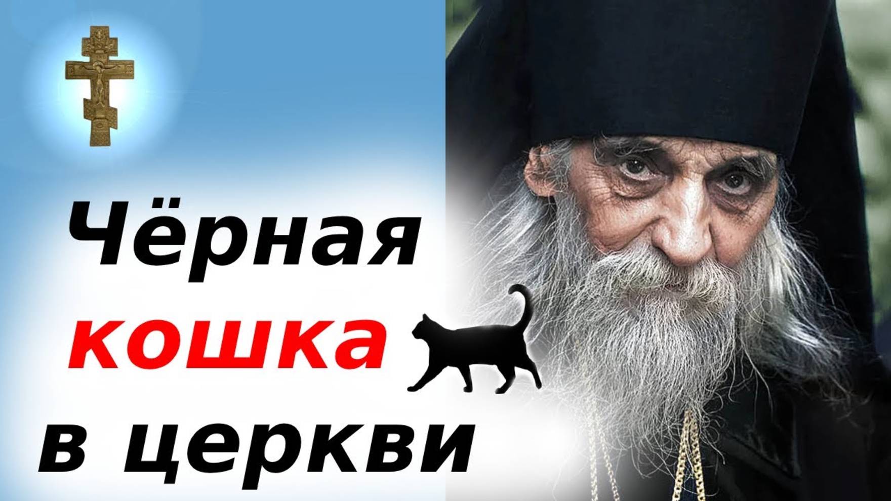Можно ли пускать кошку в храм Стоит ли бояться  Православный взгляд