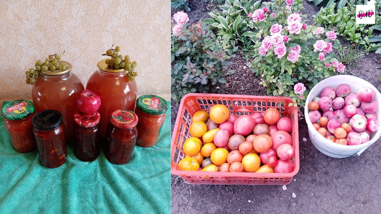 ОСЕНЬ - УРОЖАЙНАЯ ПОРА.