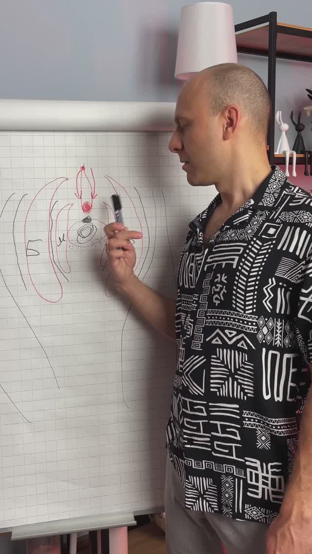 Редкий секс и нет смазки, причины и последствия