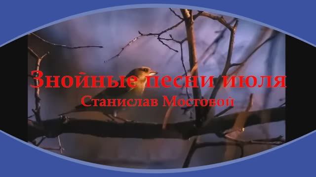 Знойные песни июля