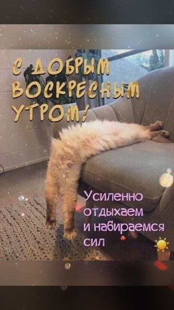 доброе утро🍰