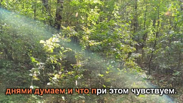 О частоте вибрации земли