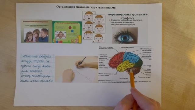 Организация мозговой структуры письма