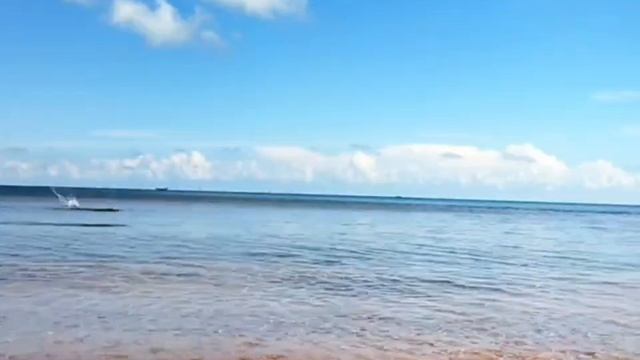 Азовское море