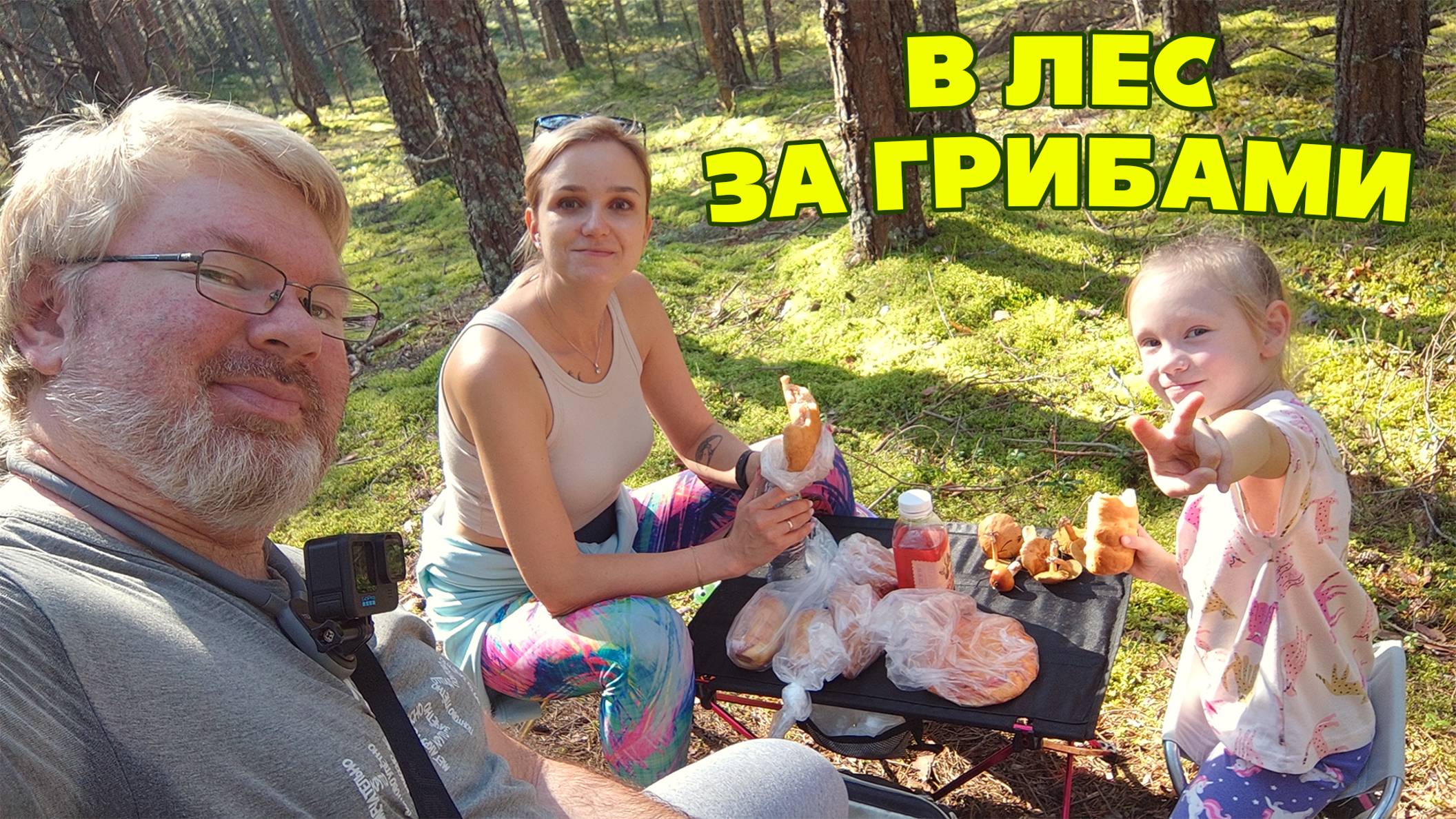 ОТДЫХ НА ПРИРОДЕ. В лес ЗА ГРИБАМИ с СЕМЬЁЙ