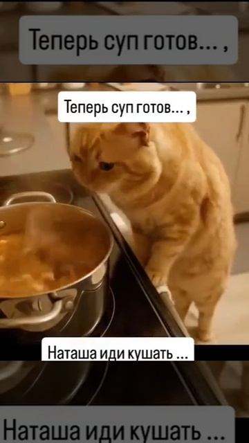 Добавь мышов - и суп готов! 🍲
