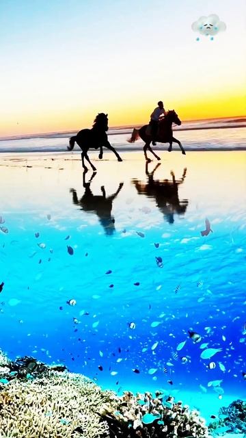 Тириклигида сарсон килиб уганда дастурхон ëздим😭😭😭