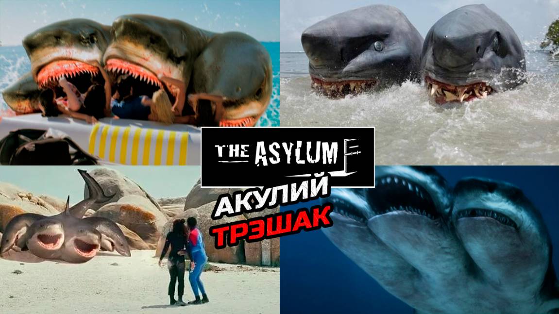 Поехавшие шарк-муви от Асайлум