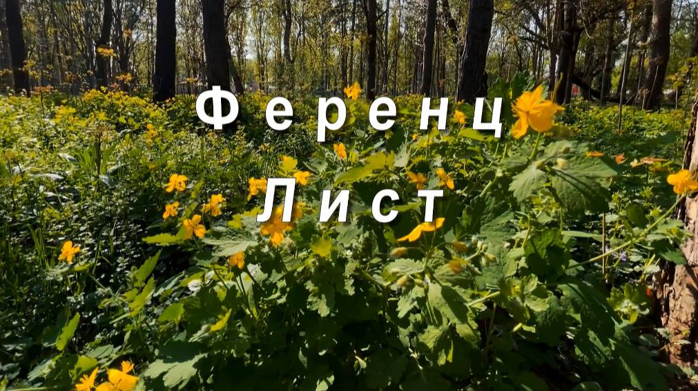 Ференц Лист. Забытый вальс. Прекрасная музыка и пение птиц в весеннем лесу. Классическая музыка