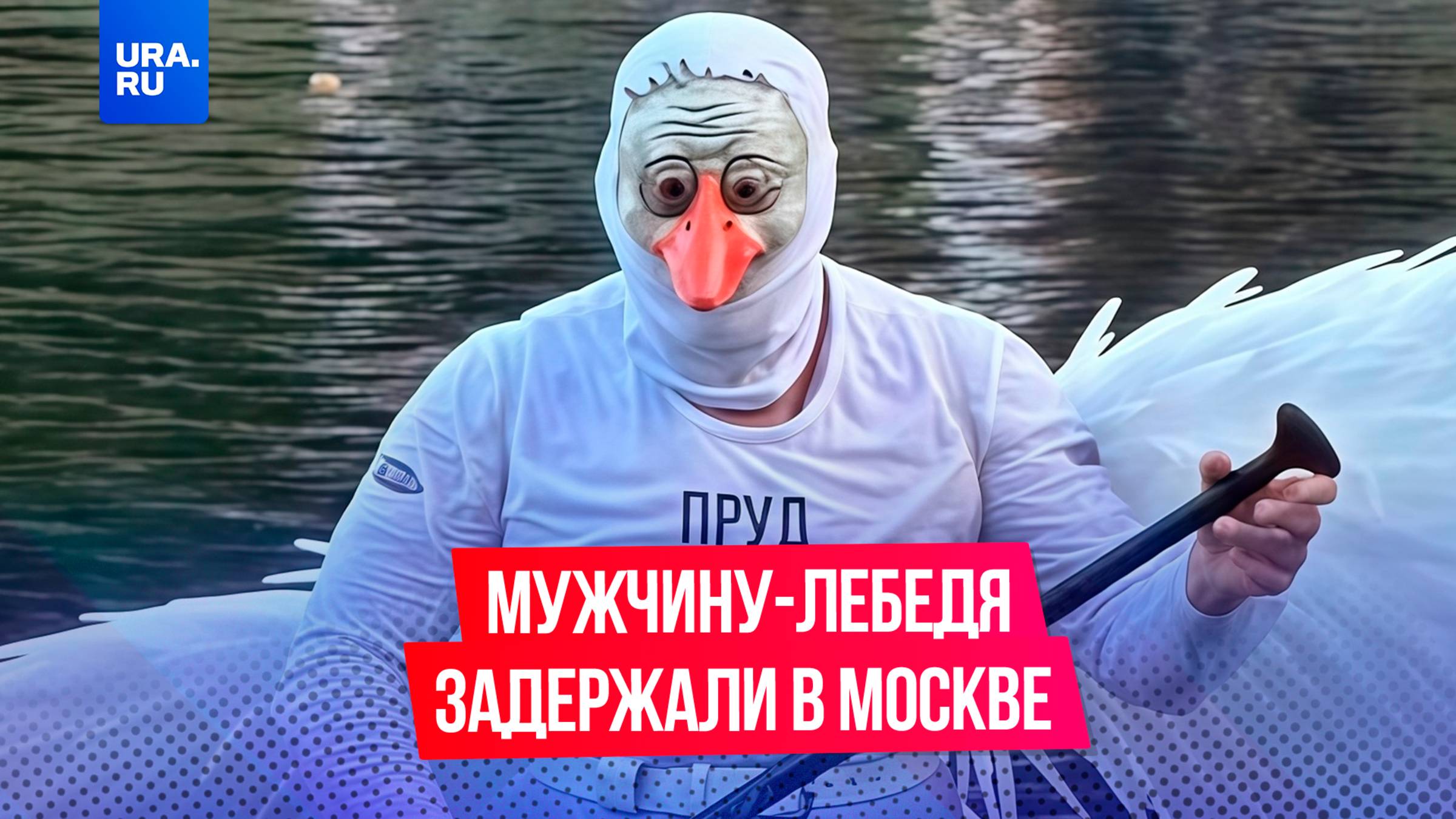 Подмочил репутацию: мужчину в костюме лебедя увезла полиция