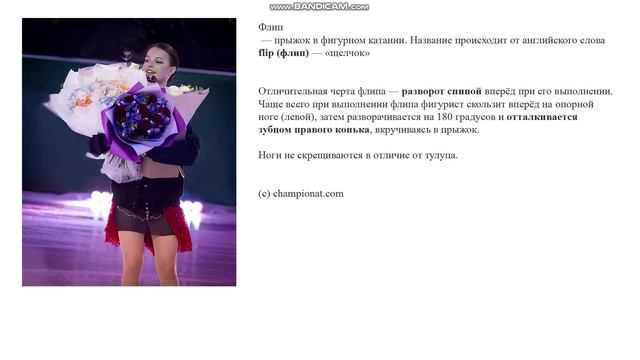 Названия прыжков в фигурном катании по-английски. Учимся их различать.