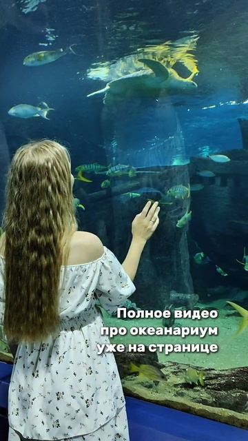Черепаха на ладони 💫 полное видео про океанариум Сочи на странице 😉