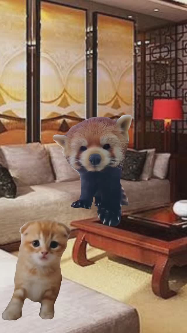 Недели котёнок Shorts (27)