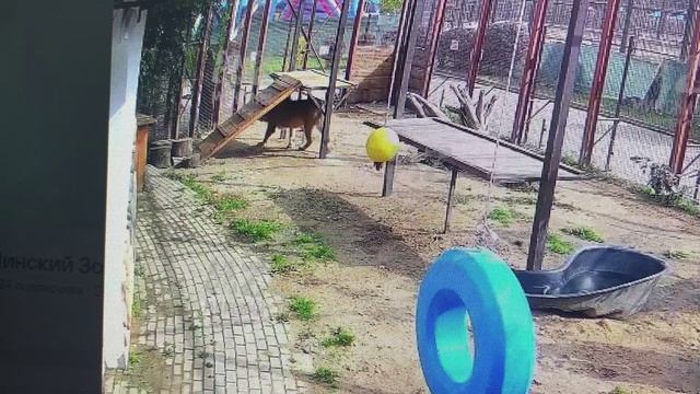 Шархан Воскресное настроение 07.09.2025 Оркестр Поля Мориа - Светлое настроение