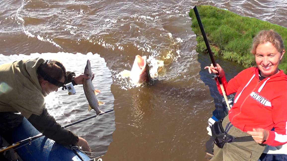 НАДУБАСИЛИ ЩУКУ в рекордно сжатый срок!