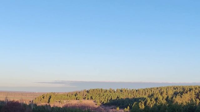 Лес