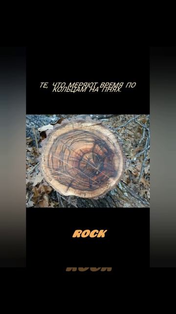 «Те ,что меряют время по кольцам на пнях» Rock music