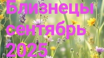 Близнецы. Сентябрь 2025 год. 🍁🍁🍁