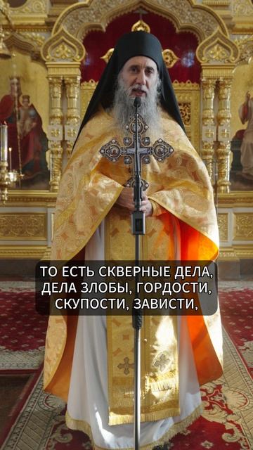 КАКИЕ ПЛОДЫ МЫ ПРИНОСИМ? | ИЕРОМОНАХ НАУМ | ВАЛААМСКИЙ МОНАСТЫРЬ #проповедь #православие #притча