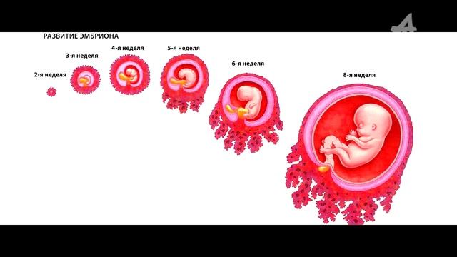 Реальные звёздные войны