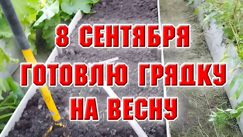 8 сентября. Готовлю грядки к зимовке