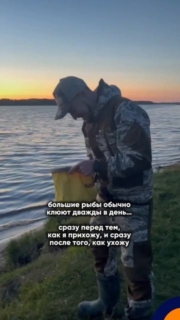 Большие рыбы следят за моим расписанием! 🤣 Приходят на обед… когда меня нет!