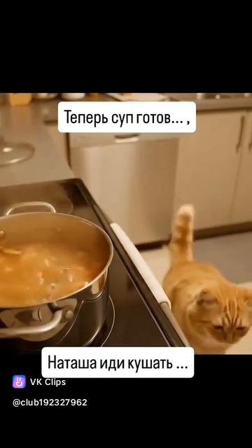Теперь суп готов