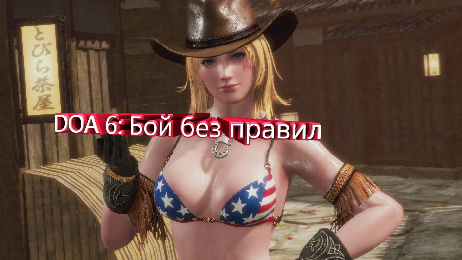 DOA 6: Бой без правил