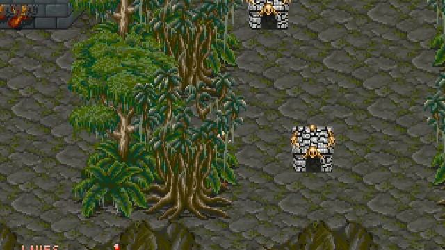 Devil World (1987) [Arcade]