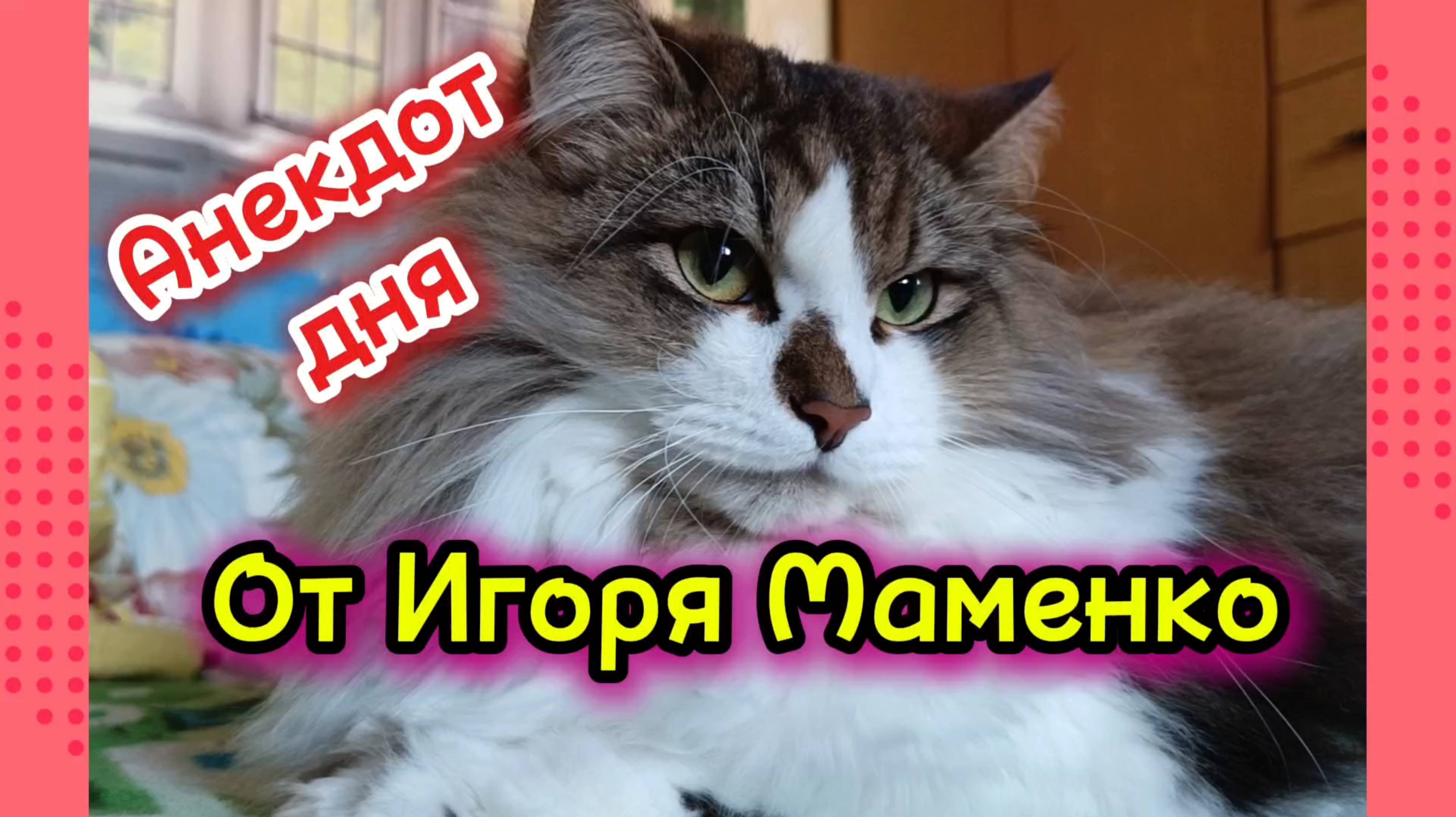 Анекдот от Игоря Маменко.