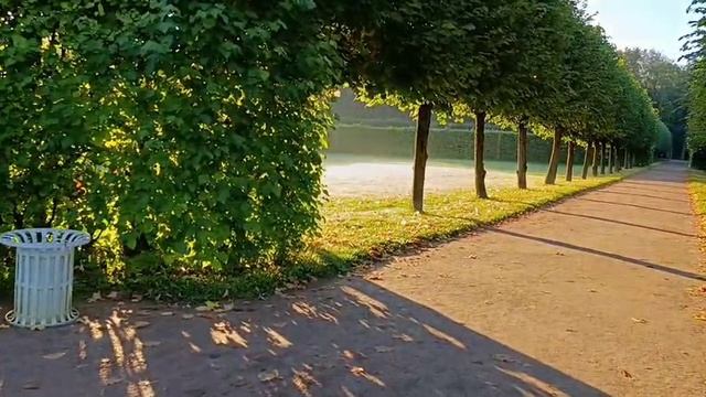 08.09.2025г. Утром с мужем прогулялись по Екатерининскому парку, Пушкин, Санкт-Петербург.