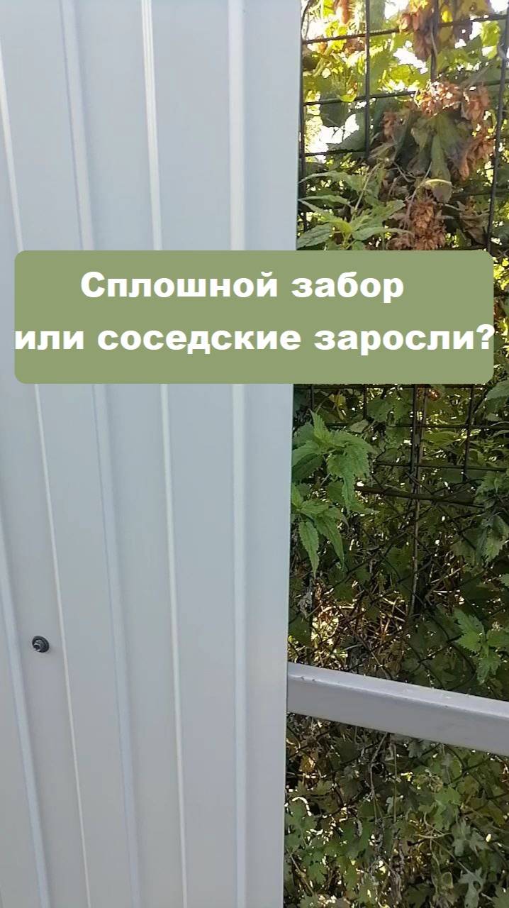 Сплошной забор между соседями. Стало лучше!