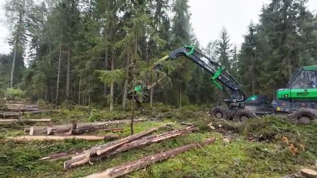 Первый обзор Amkodor FH3081