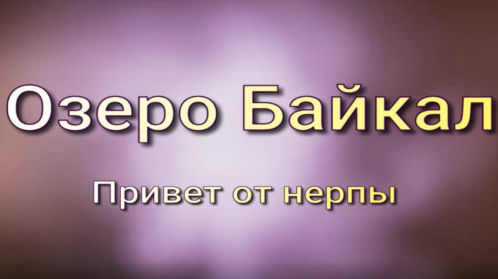 Байкал: Привет от нерпы. Кормим чайку, наслаждаемся красотой!