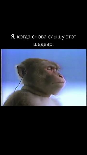 Муражки... #shorts #wow #wotlk #корольлич #worldofwarcraft #варкрафт #музыка #wrathofthelichking