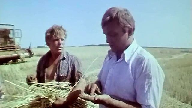 1988 год. Тюменская область. Уборка зерновых