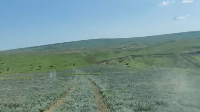 По полям по полям