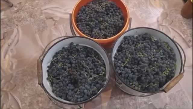 ВИНО ВИНОГРАДНОЕ! МНОГОЛЕТНИЙ РЕЦЕПТ! УКРЕПЛЯЕМ ИММУНИТЕТ!